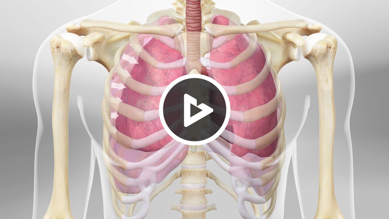Collapsed Lung (Pneumothorax)